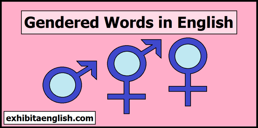 Gendered Words Quiz Exhibitaenglish